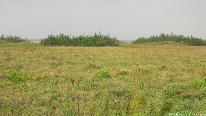 Cabeza de Vaca Probably Did Not Land On Galveston Island – Karankawas