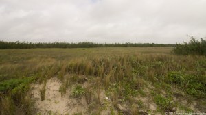 Cabeza de Vaca Probably Did Not Land On Galveston Island – Karankawas