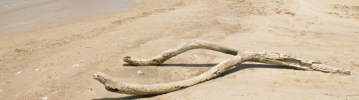 A Timeline of European Contact with the Karankawa – Karankawas