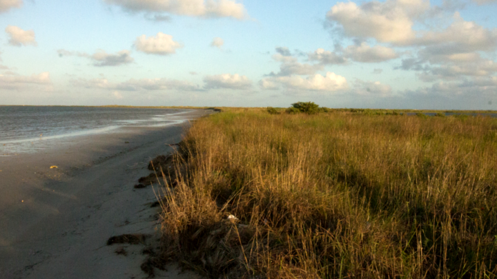 Joseph María, the Most Prominent Karankawa Chief During the Karankawa ...