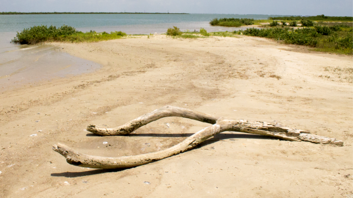 Karankawas – Peoples of the Gulf Coast